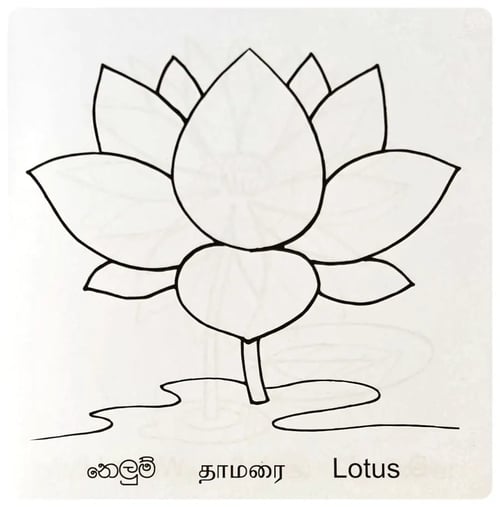 පාට කරමු - මල් | Paata Karamu - Flowers | IBMC Publications | පොත් ...