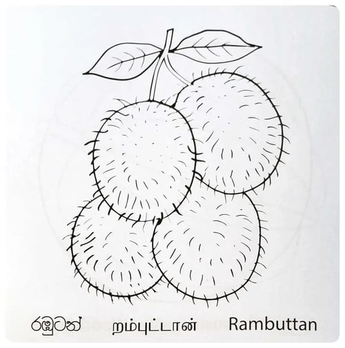 පාට කරමු - පලතුරු | Paata Karamu - Fruits | IBMC Publications | පොත් ...