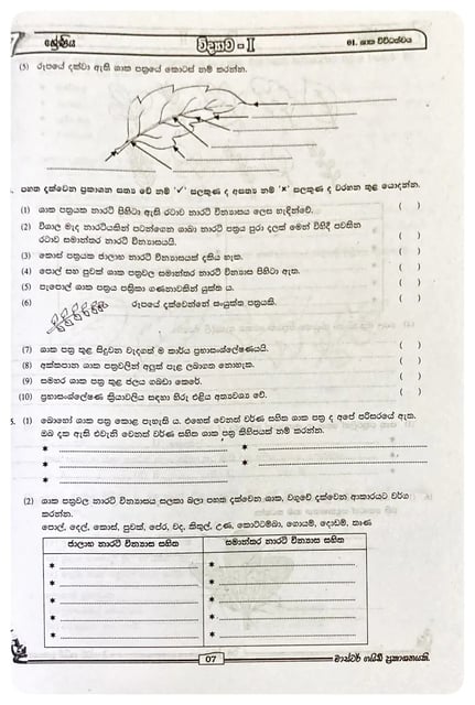 විද්‍යාව - I 7 ශ්‍රේණිය | Vidyava - I Grade 7 | Master Guide ...