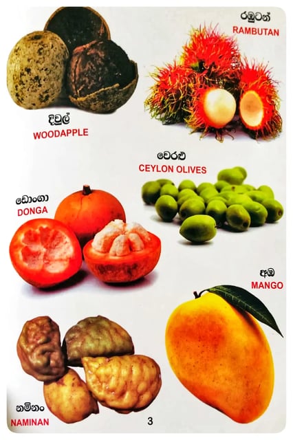 රූප සතර - පලතුරු | Sathara Picture Book - Fruits | Sathara Publications ...