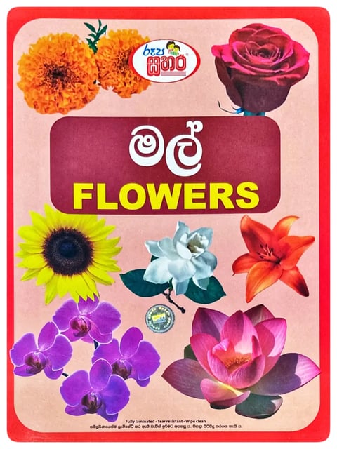 රූප සතර - මල් | Sathara Picture Book - Flowers | Sathara Publications ...