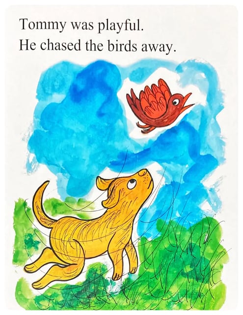 Tommy and the Birds | Sybil Wettasinghe | පොත් පැංචා [Poth Pancha]